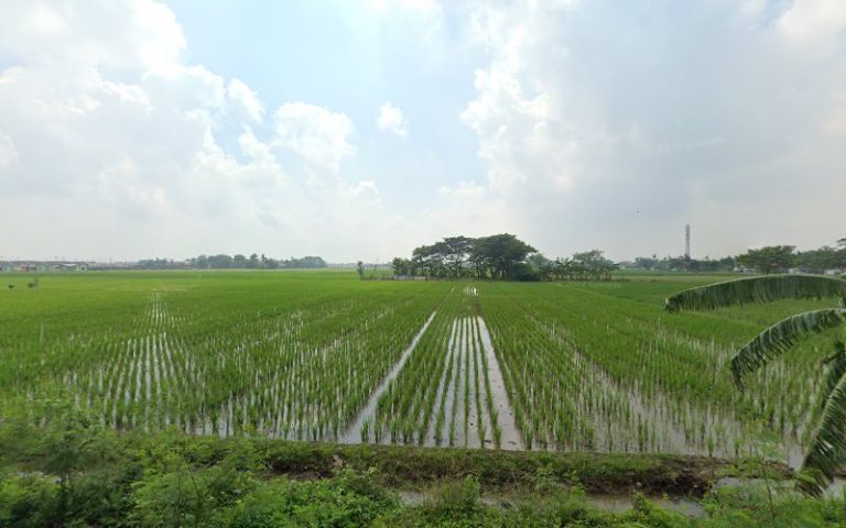 TPU Mangun Jaya | Kamboja